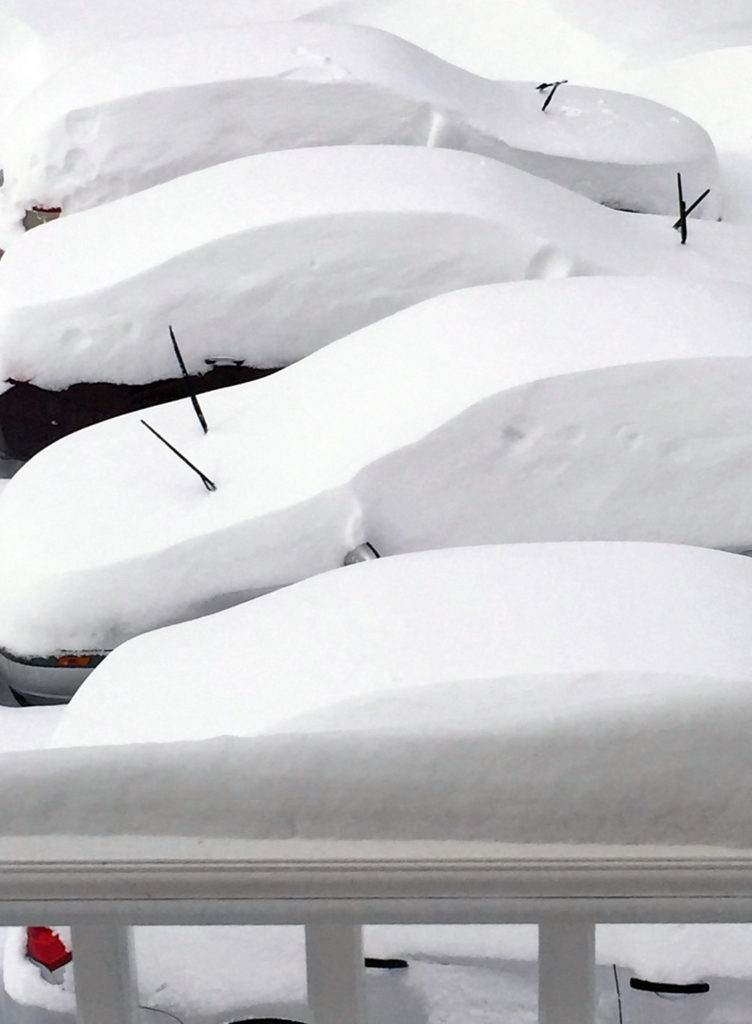 Snow Image - Diane Ripstein