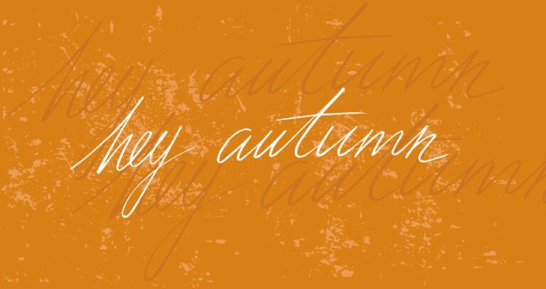 Diane In Action: Stories From The Stage - Diane Ripstein